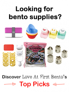 Choosing Your First Bento Box - Love At First Bento